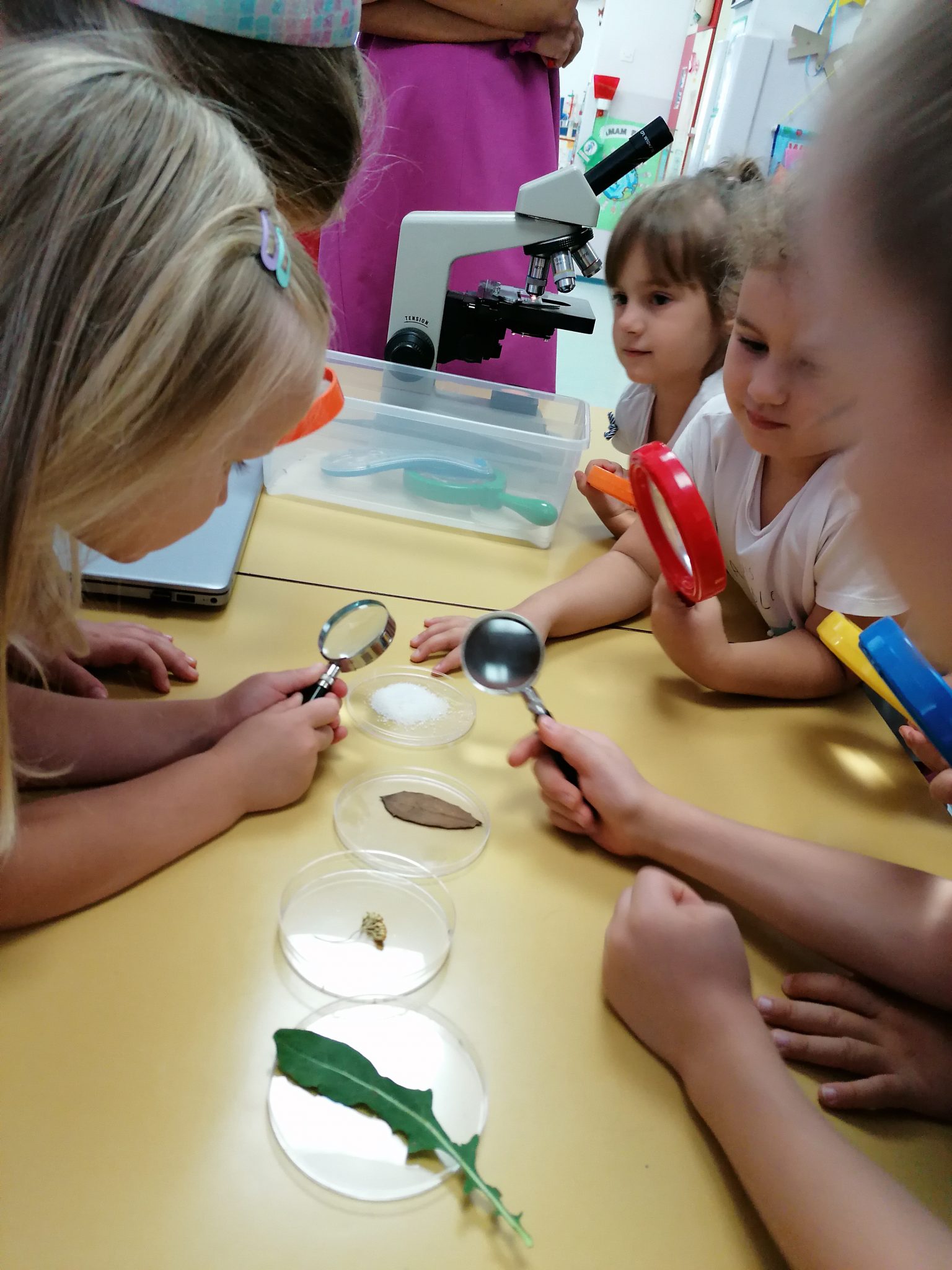 STEM RADIONICE U DV VESELI DANI | Dječji vrtić Marjan